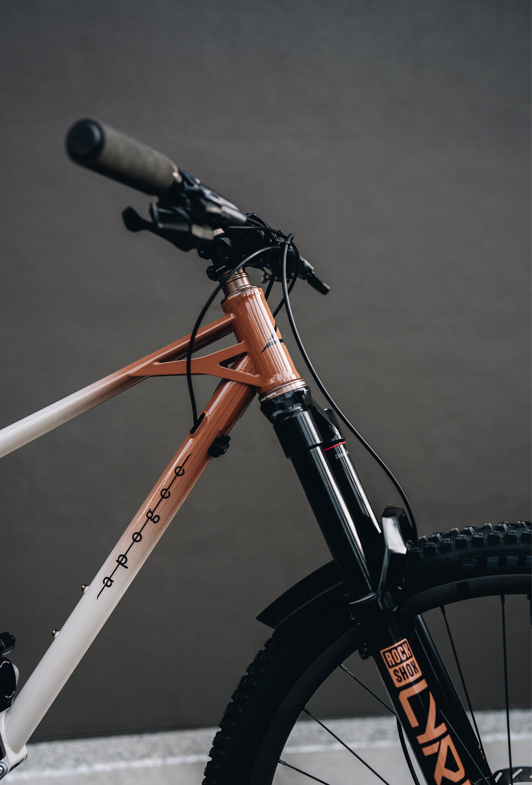 Gallery – Apogee Bikes